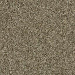 Series 1.101 Shale - 338411