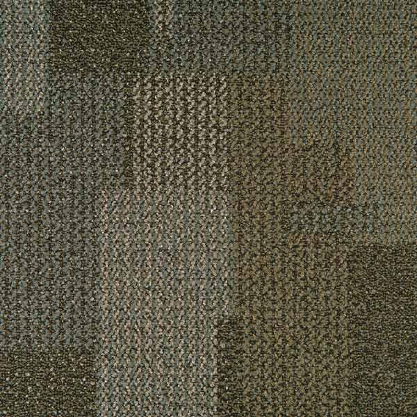 Entropy II Variations - 366493