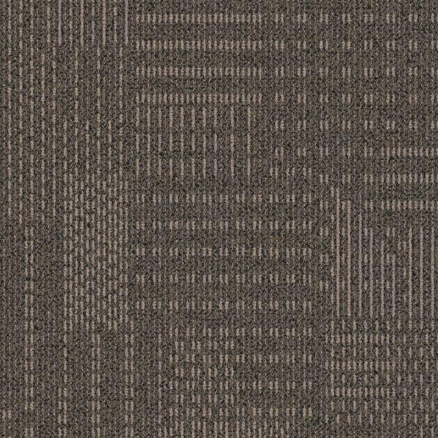CT 101 Walnut